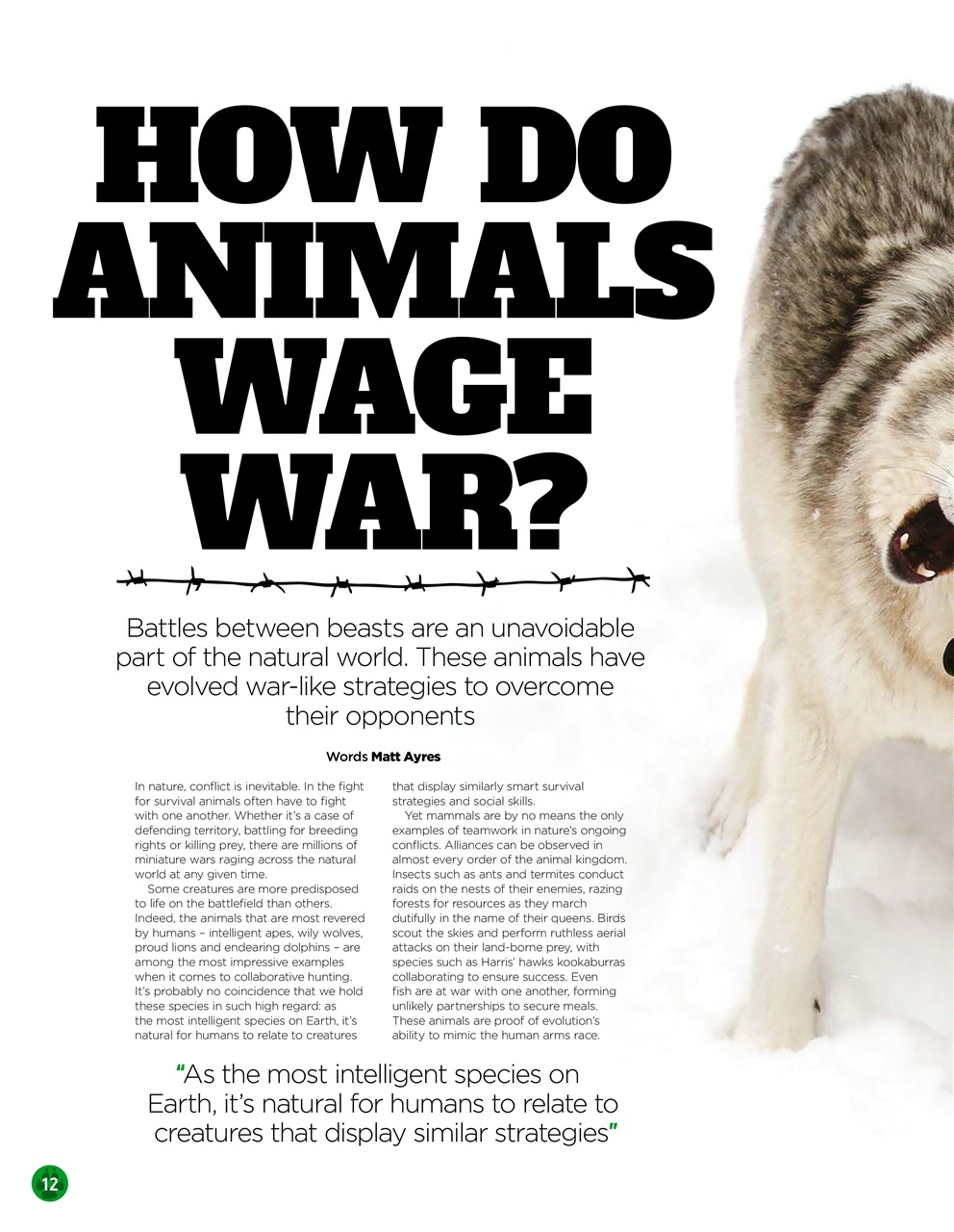 World of Animals Magazine - Issue 58 Subscriptions | Pocketmags