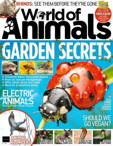 World of Animals Magazine - Issue 59 Back Issue