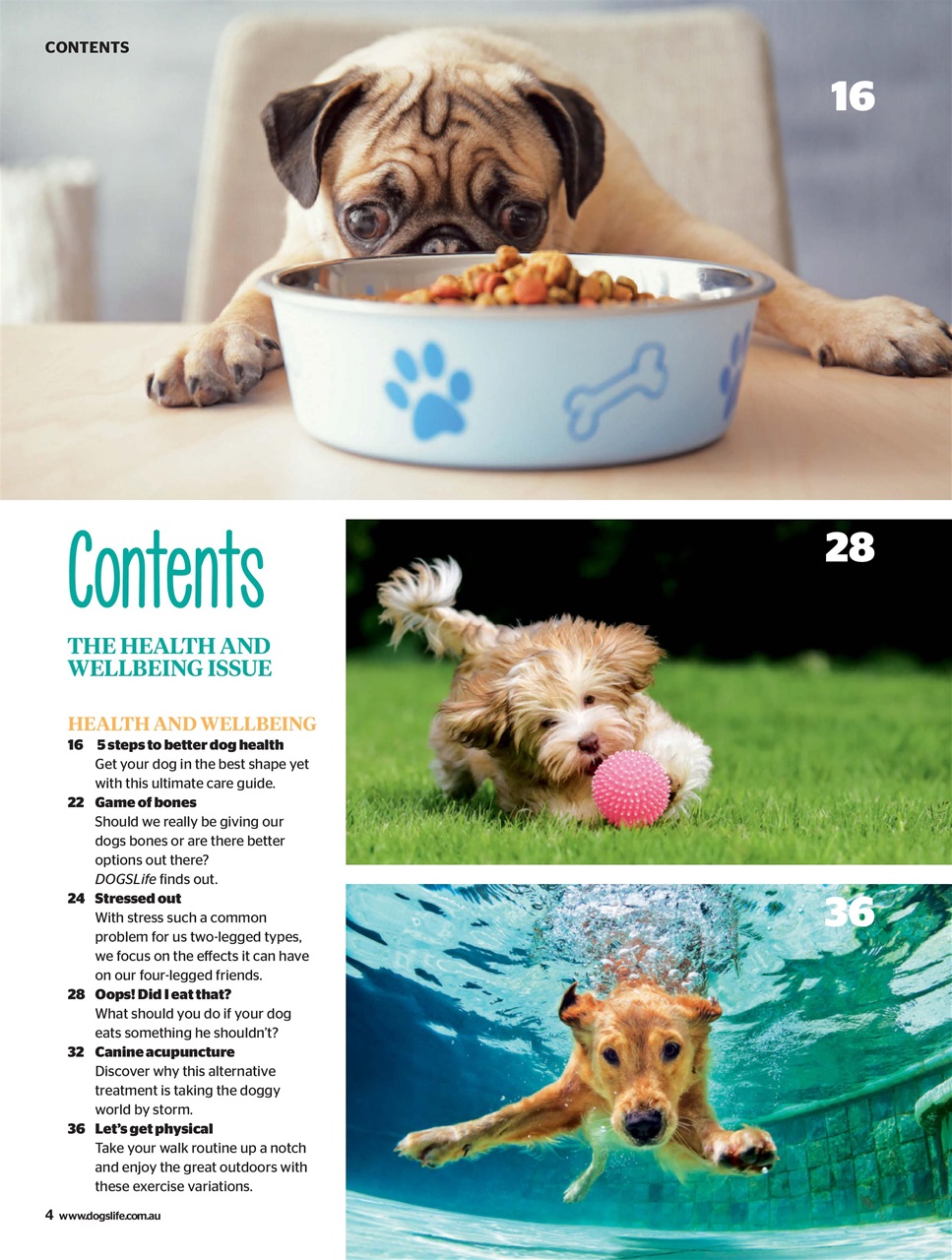 Dogs Life Magazine - May Issue#148 2018 Back Issue