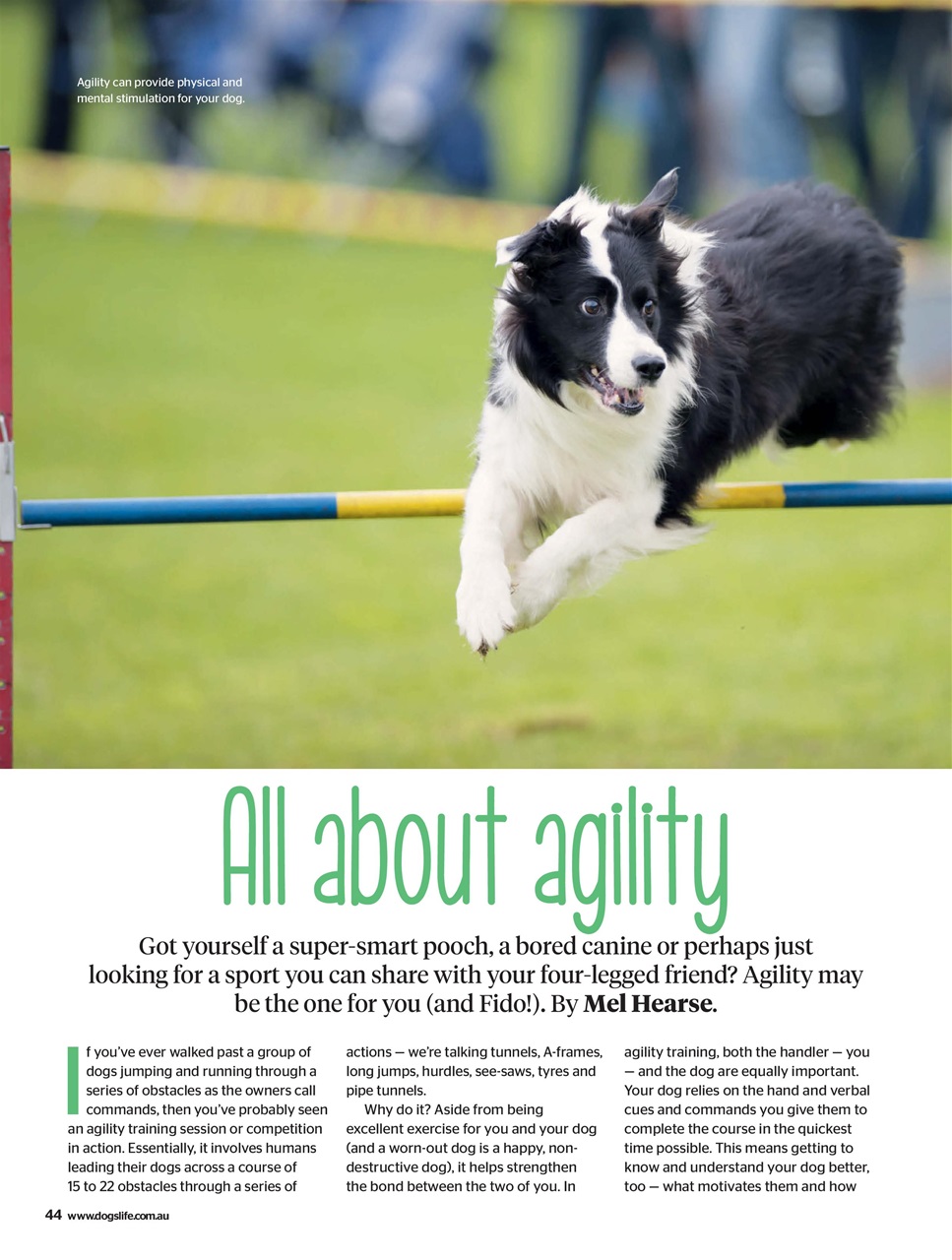Dogs Life Magazine - May Issue#148 2018 Back Issue