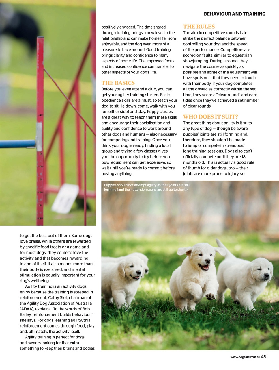 Dogs Life Magazine - May Issue#148 2018 Subscriptions | Pocketmags