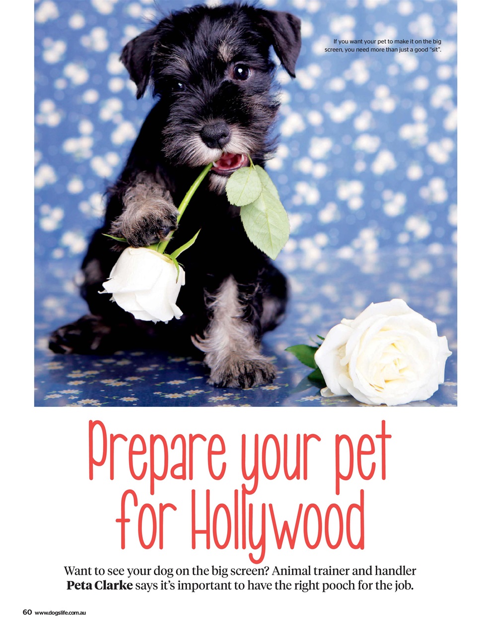 Dogs Life Magazine - May Issue#148 2018 Back Issue