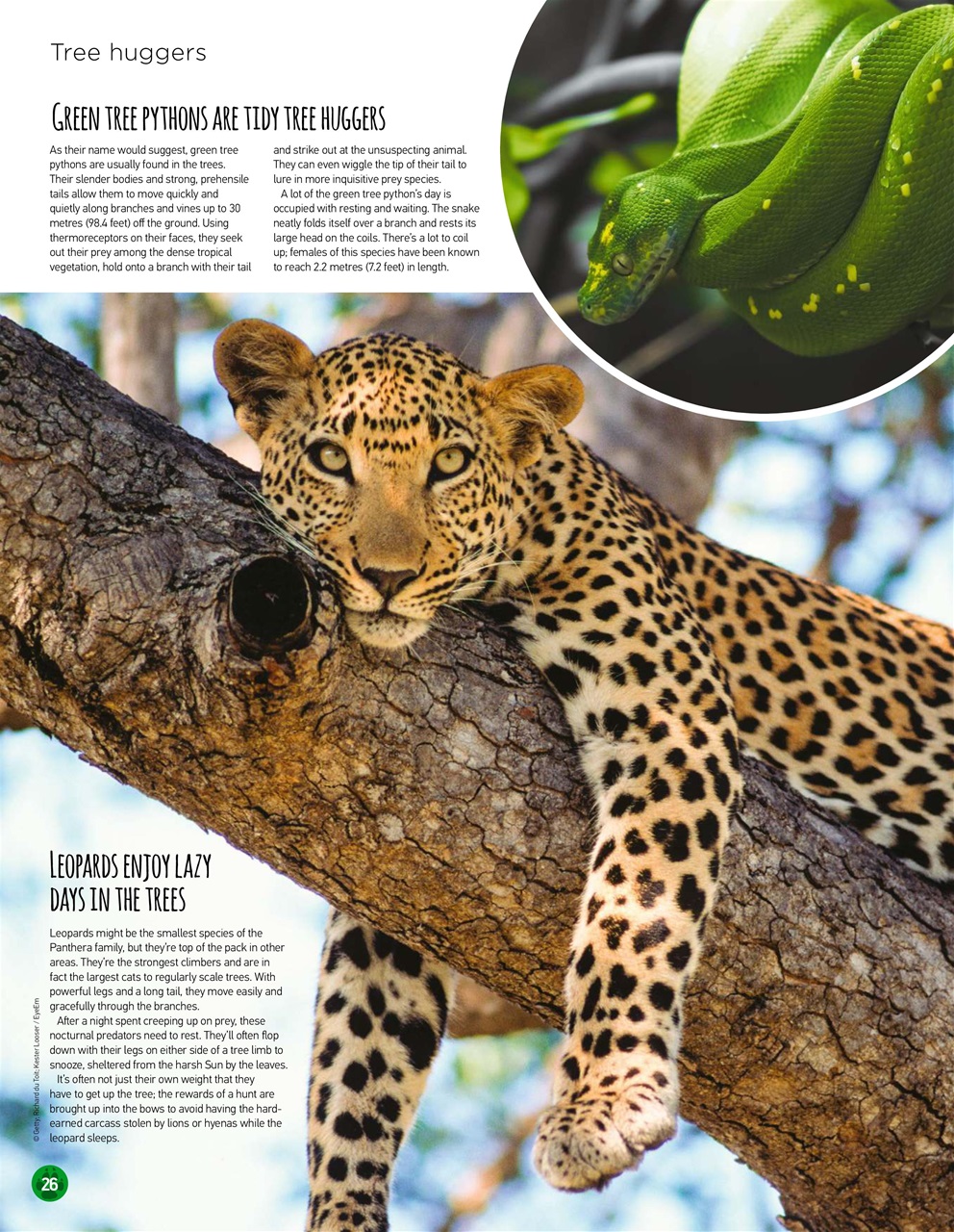 World of Animals Magazine - Issue 60 Back Issue