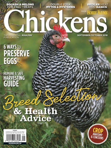 Chickens Magazine - Sept/Oct Back Issue