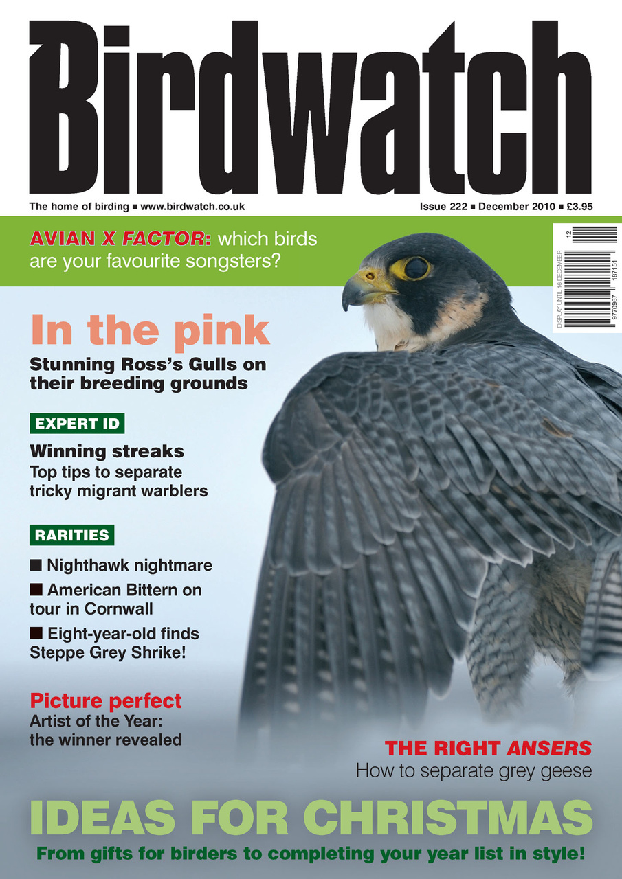 Birdwatch Magazine - December 2010 Back Issue