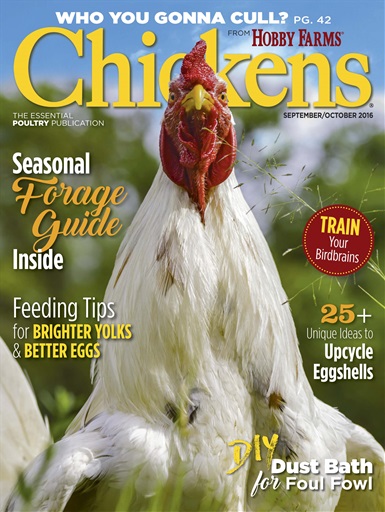 Chickens Magazine - Sept/Oct16 Back Issue