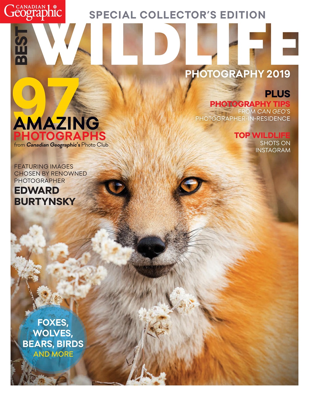 Canadian Geographic Magazine - Best Wildlife Photography 2019 ... Canadian Geographic Magazine - Best Wildlife Photography 2019 ...