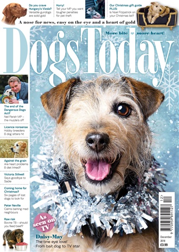 Dogs Today Magazine - December 2018 Back Issue