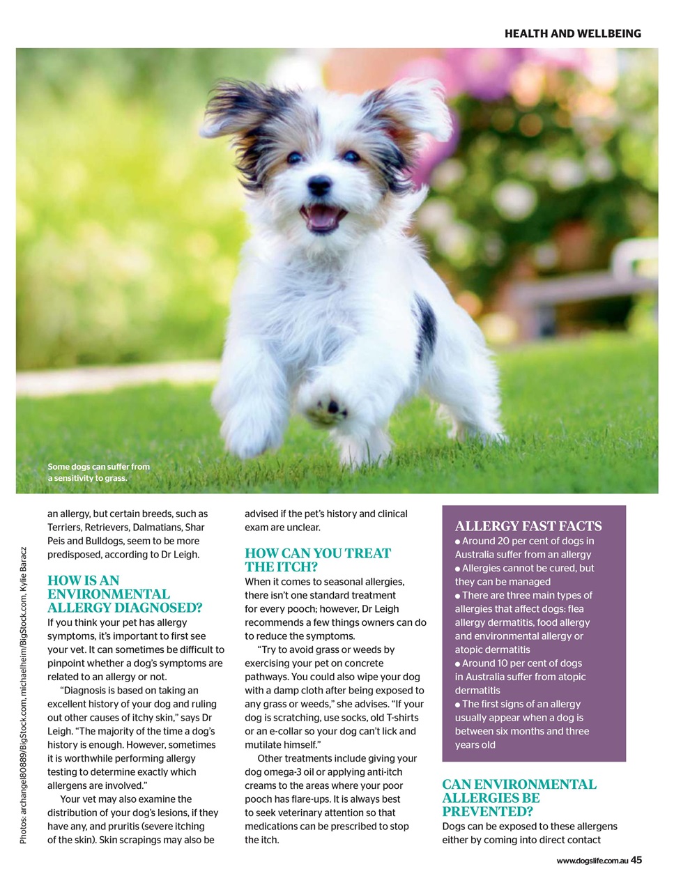Dogs Life Magazine Subscriptions and Issue#149 2018 Issue