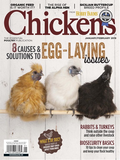 Chickens Magazine - January/February 2019 Subscriptions | Pocketmags