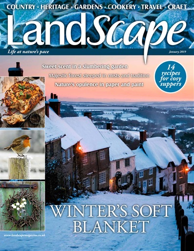 LandScape Magazine - January 2019 Back Issue