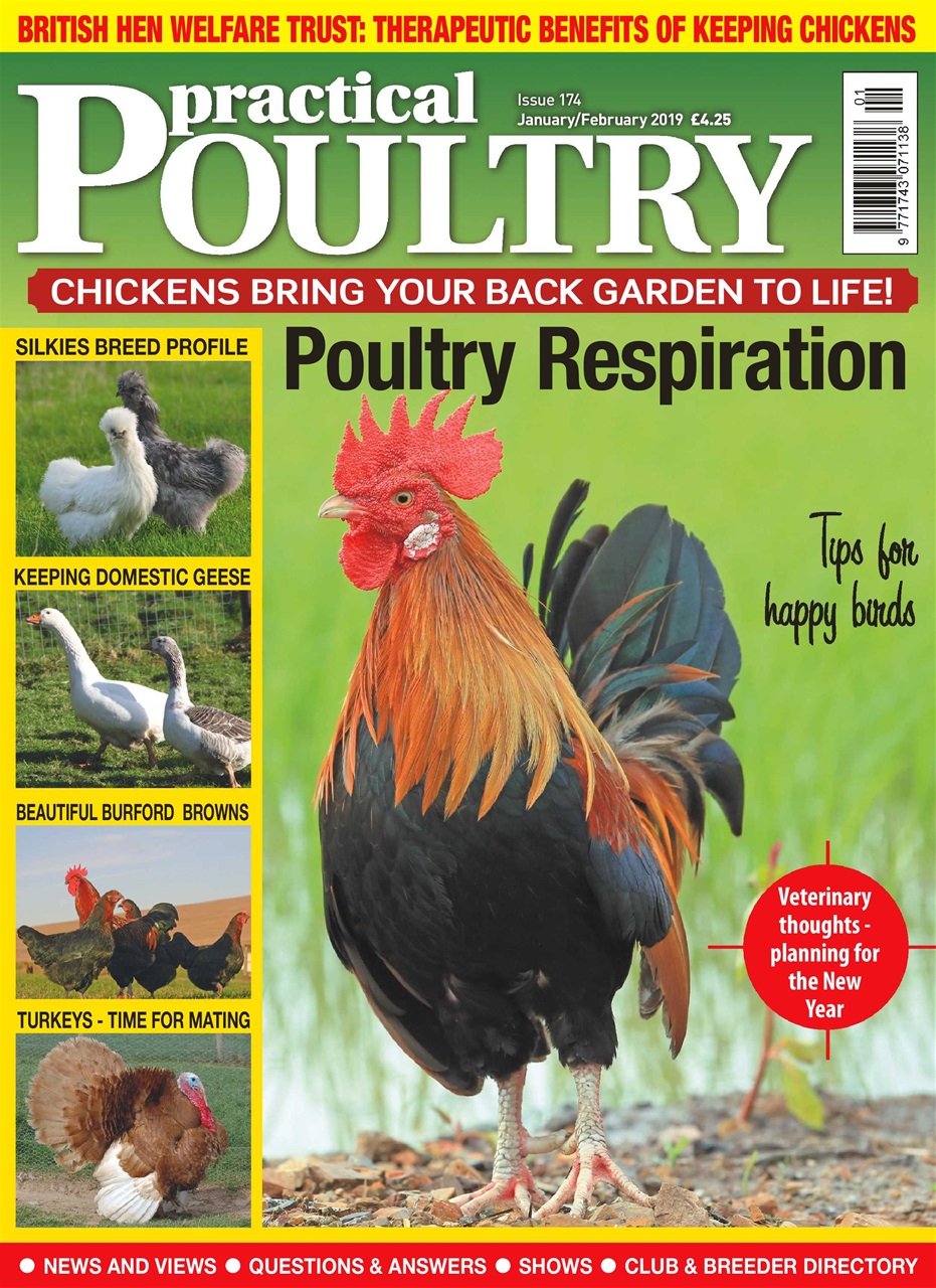 Practical Poultry Magazine - Jan-Feb 2019 Subscriptions | Pocketmags