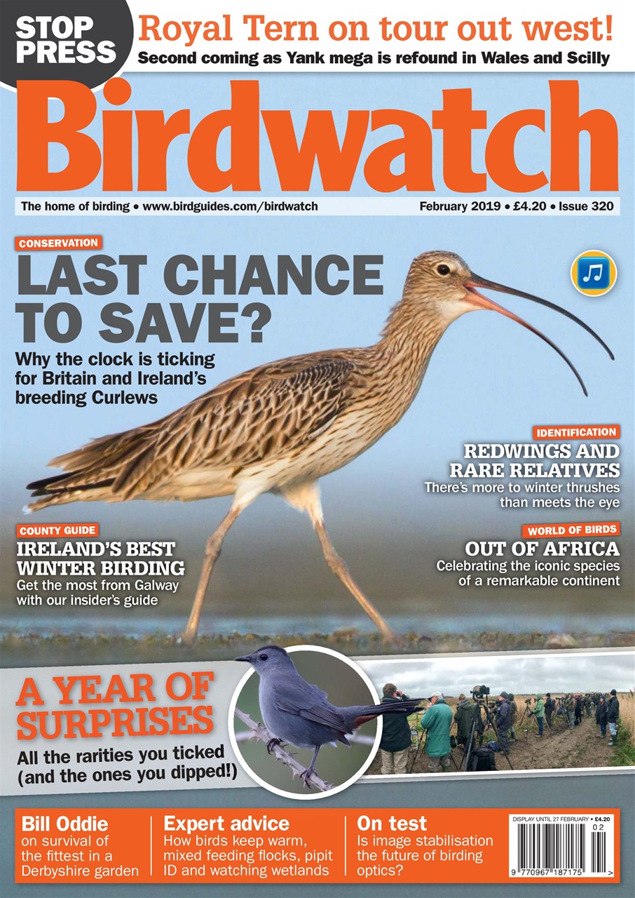 Birdwatch Magazine - February 2019 Back Issue