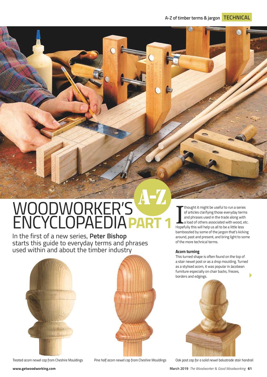 The Woodworker Magazine - March 2019 Back Issue