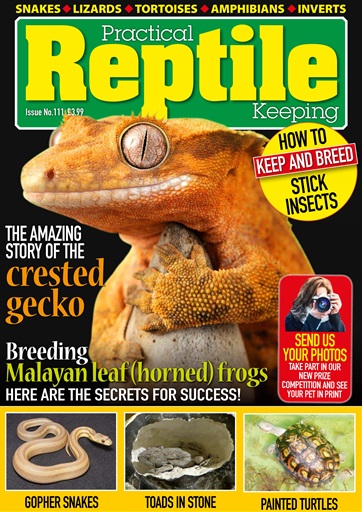 Practical Reptile Keeping Magazine - Issue 111 Back Issue
