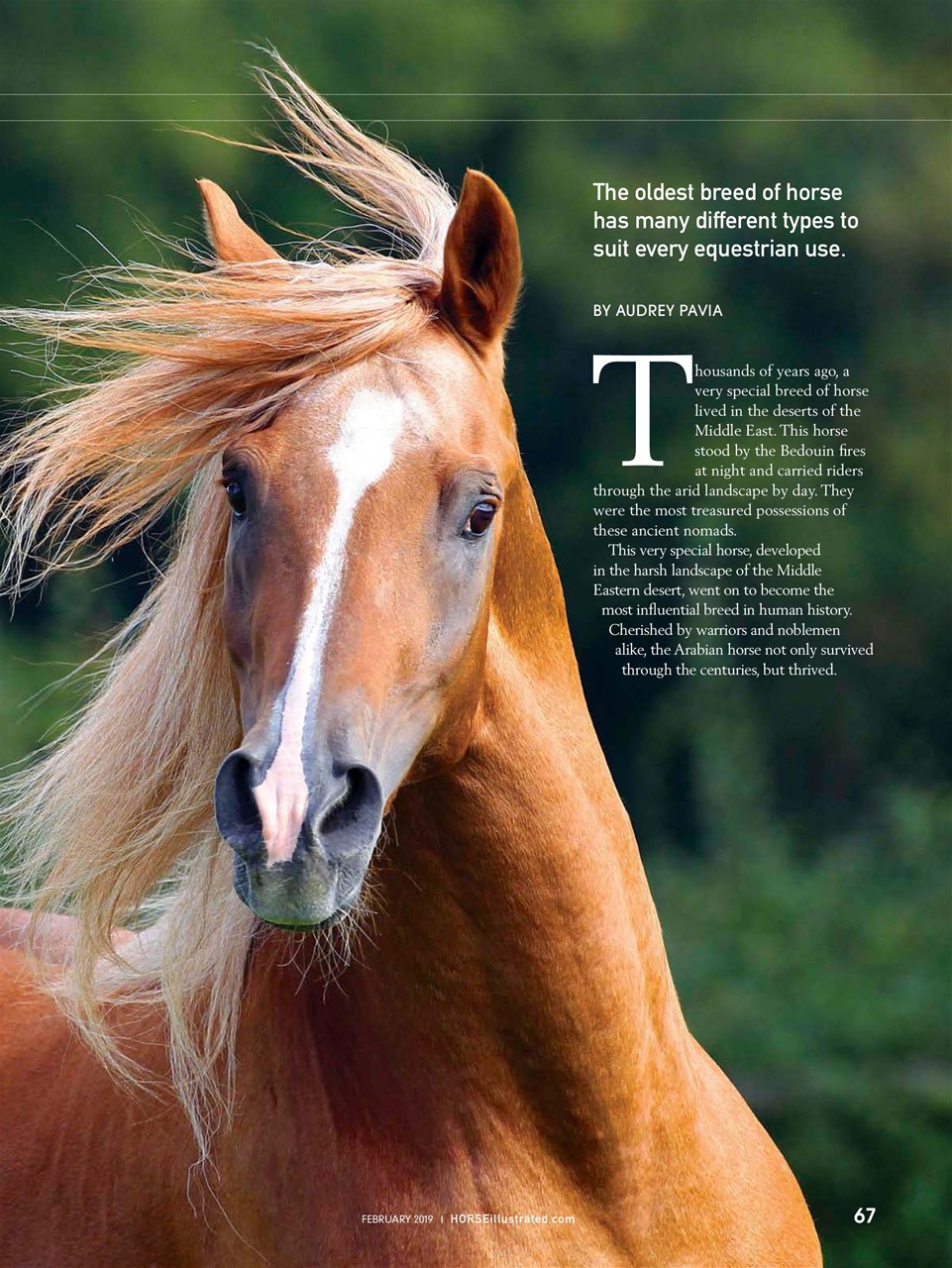 Horse Illustrated Magazine - February 2019 Back Issue