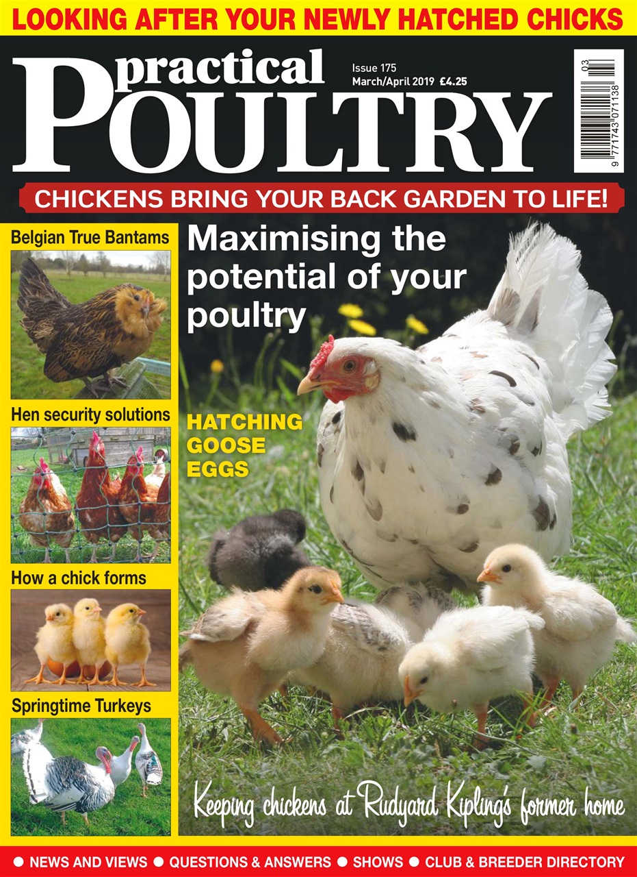 Practical Poultry Magazine - Mar/Apr 19 Back Issue