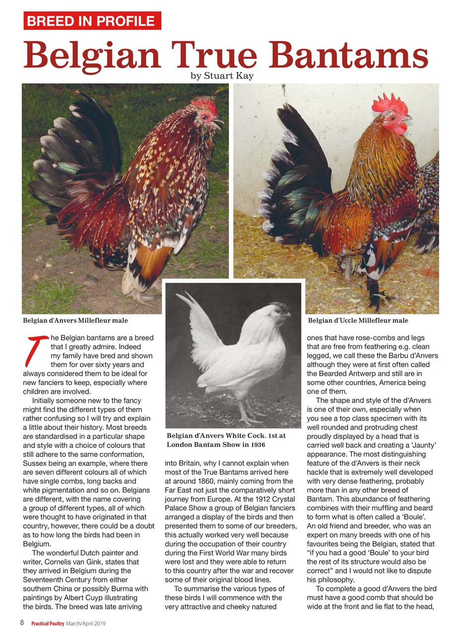 Practical Poultry Magazine - Mar/Apr 19 Subscriptions | Pocketmags