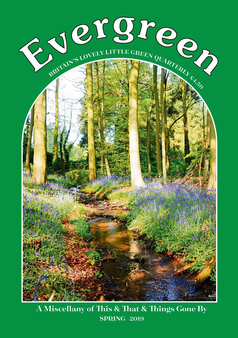 Evergreen Magazine - Spring 2019 Back Issue