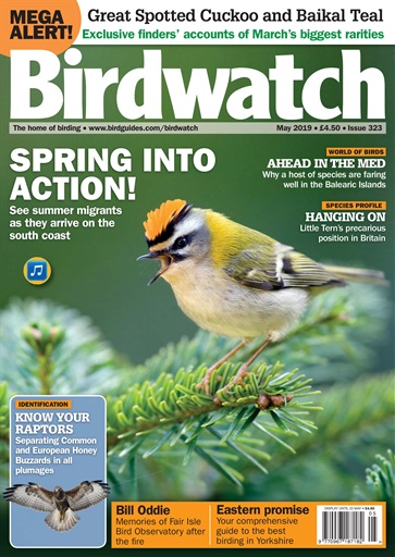 Birdwatch Magazine - May 2019 Back Issue