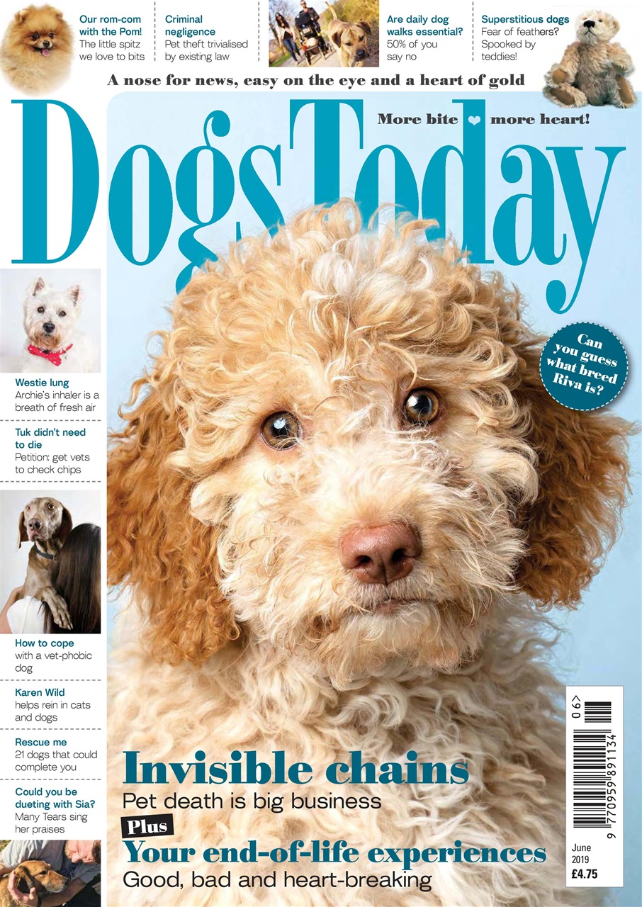 Dogs Today Magazine - June 2019 Back Issue