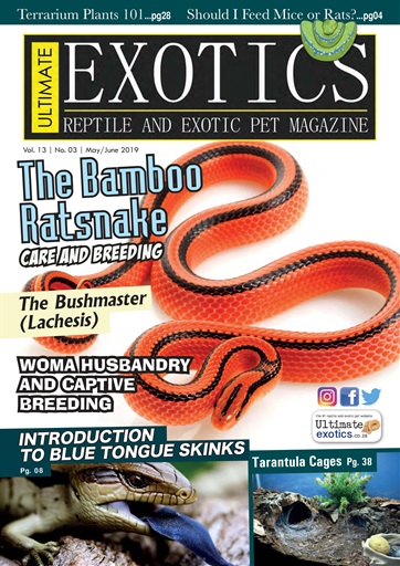 Ultimate Exotics Magazine - May/June 2019 Back Issue