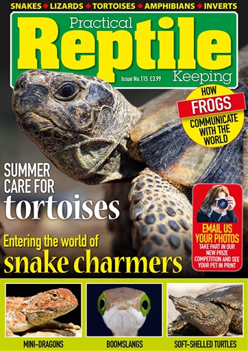 Practical Reptile Keeping Magazine - Issue 115 Subscriptions | Pocketmags