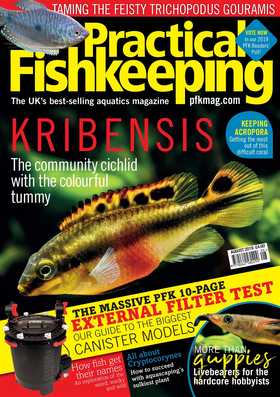 Practical Fishkeeping Magazine - Practical Fishkeeping Magazine August ...