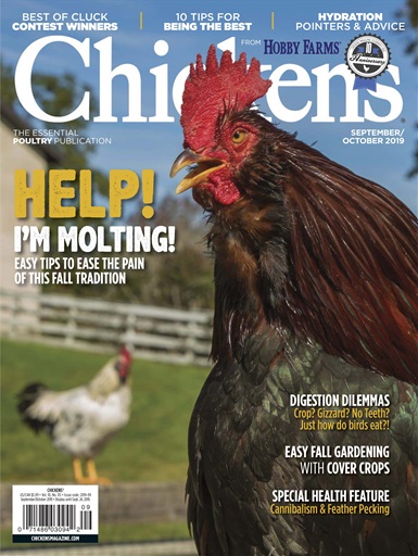 Chickens Magazine - Sept/Oct 19 Subscriptions | Pocketmags