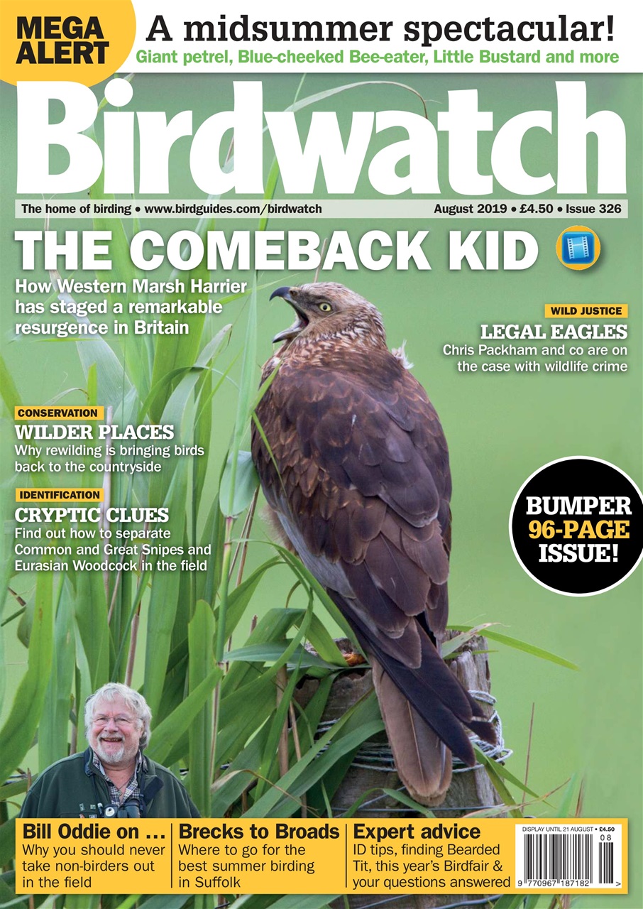 Birdwatch Magazine - August 2019 – WITH FREE OFFICIAL BIRDFAIR 2019 ...