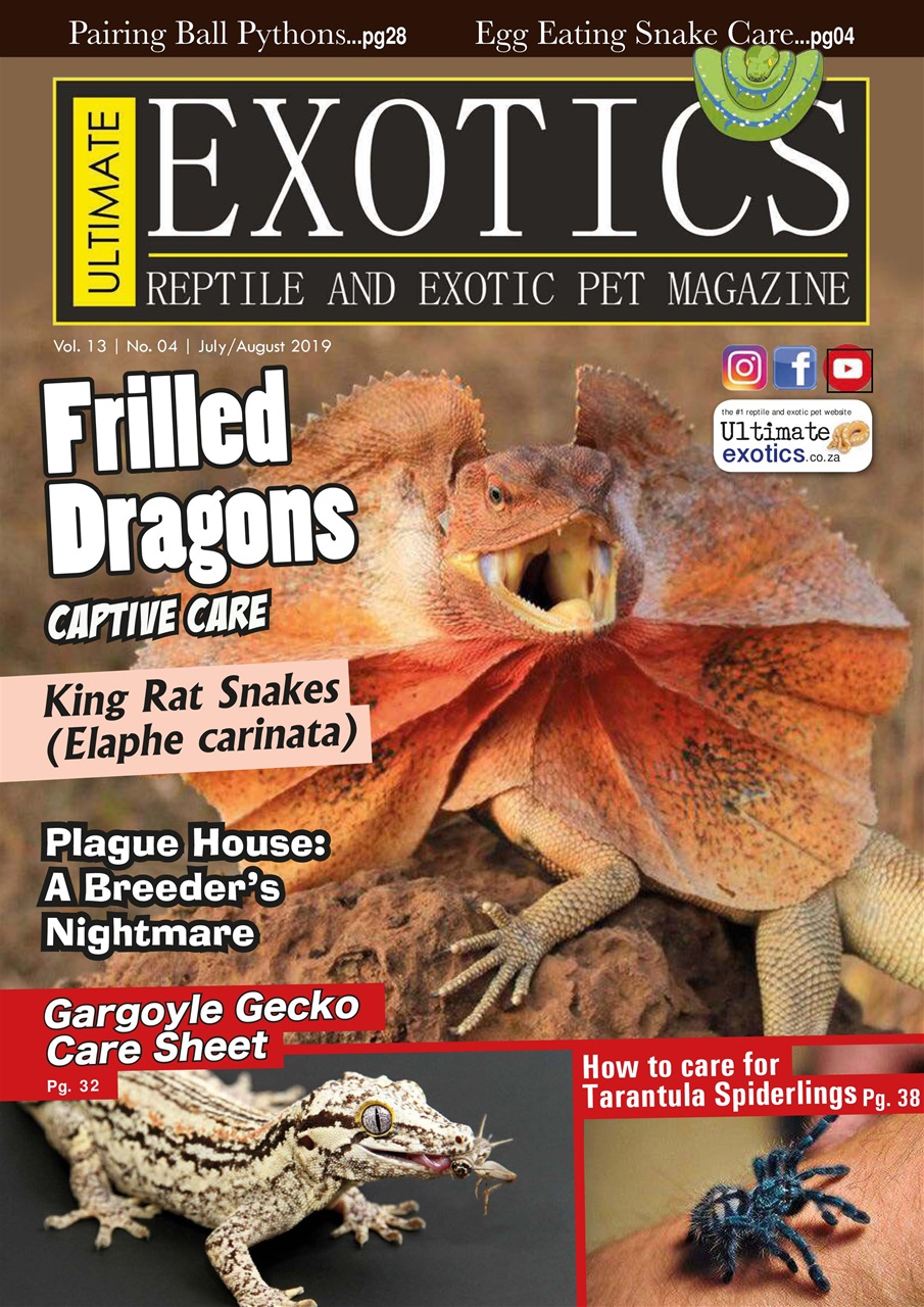 Ultimate Exotics Magazine - July/August 2019 Back Issue