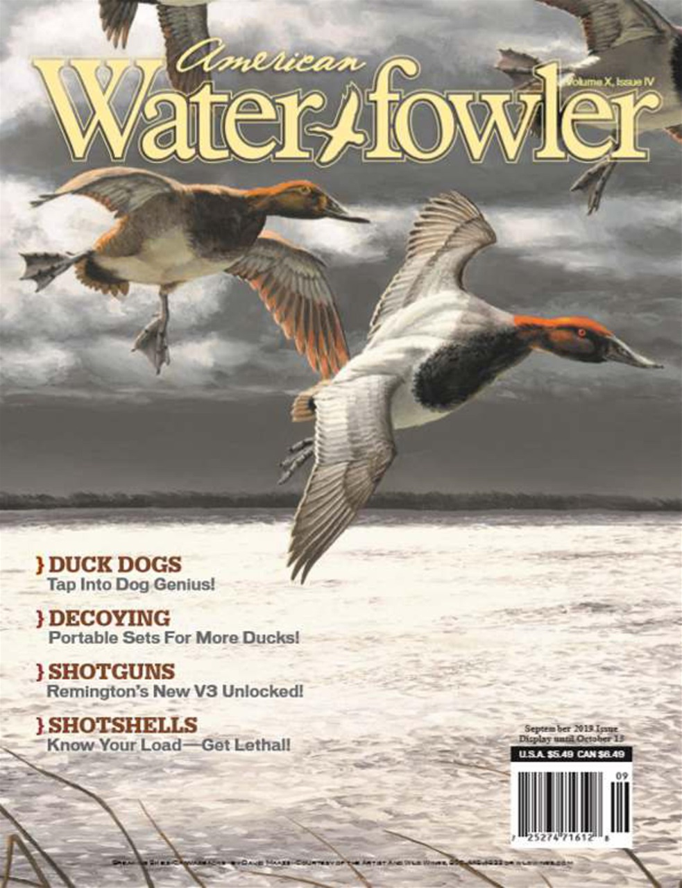 American Waterfowler Magazine - Volume X Issue IV Back Issue