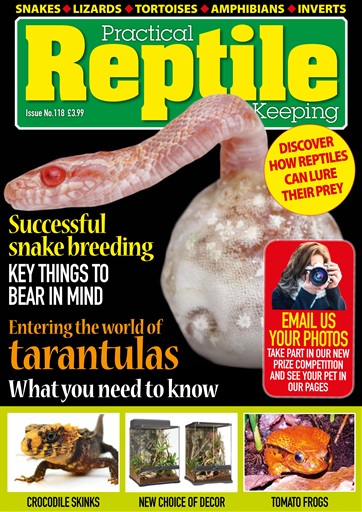 Practical Reptile Keeping Magazine - Issue 118 Back Issue