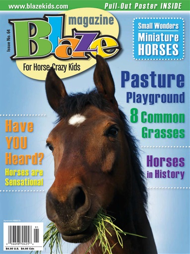 Blaze Magazine For Horse Crazy Kids - No 64 Spring 2019 Back Issue