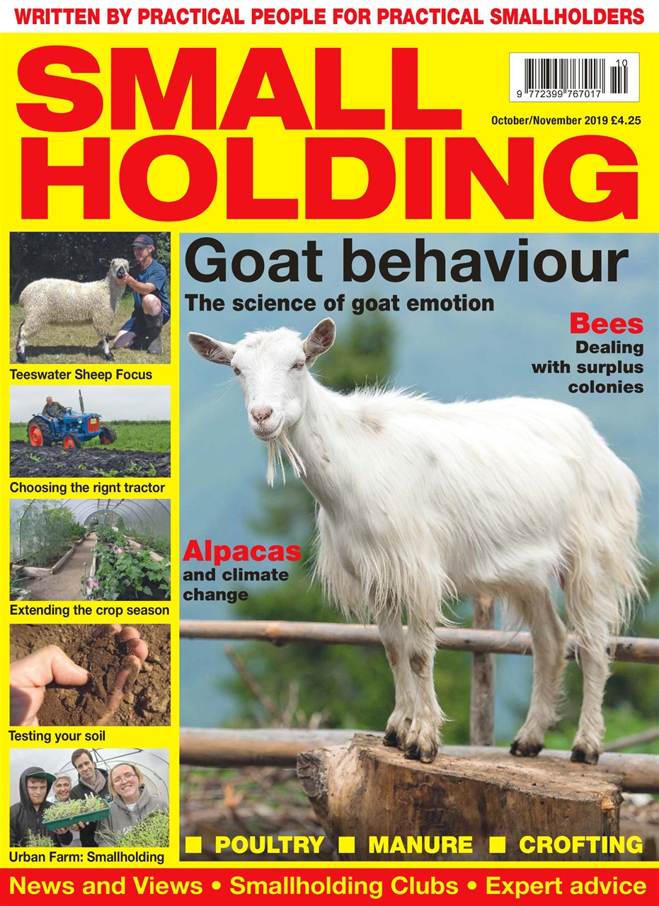 The Smallholder Magazine - Oct/Nov 2019 Back Issue