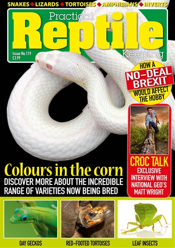 Practical Reptile Keeping Magazine - Issue 119 Back Issue
