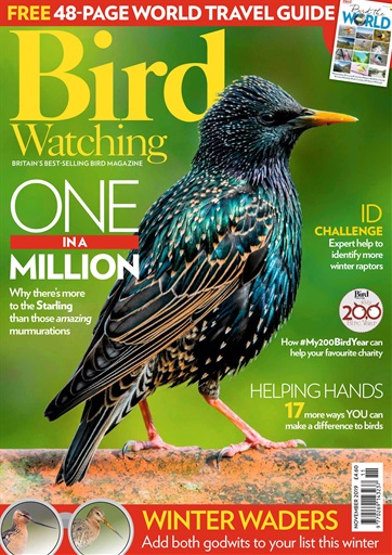 Bird Watching Magazine - November 2019 Back Issue