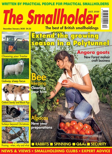 The Smallholder Magazine - Dec/Jan 2020 Back Issue
