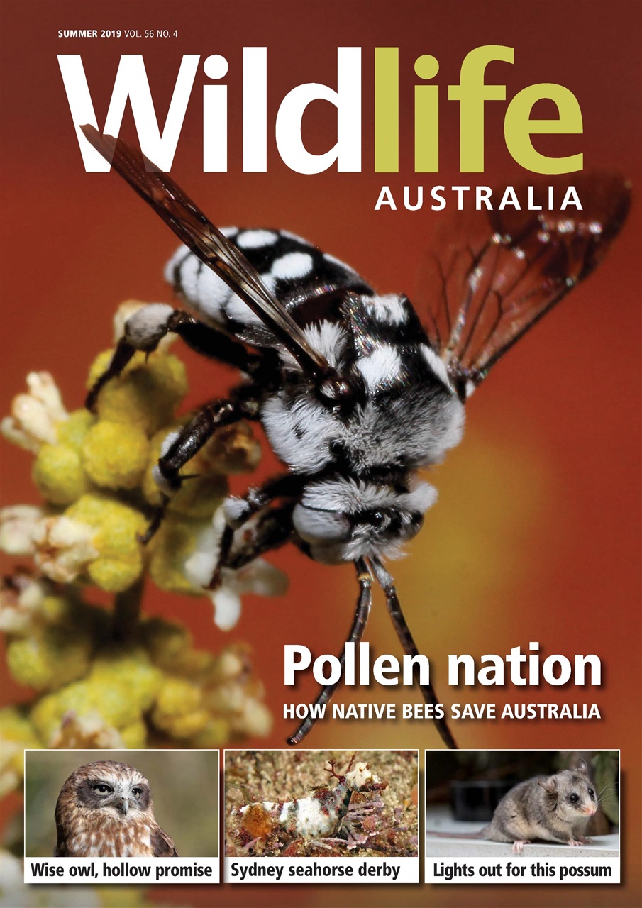 Wildlife Australia Magazine - Wildlife Australia Magazine Summer 2019 ...