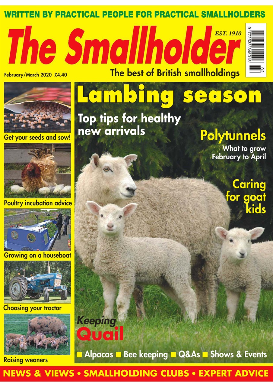 The Smallholder Magazine - Feb/Mar 2020 Subscriptions | Pocketmags