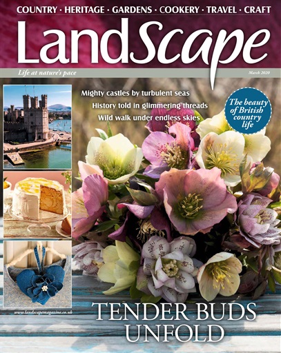 LandScape Magazine - March 2020 Back Issue