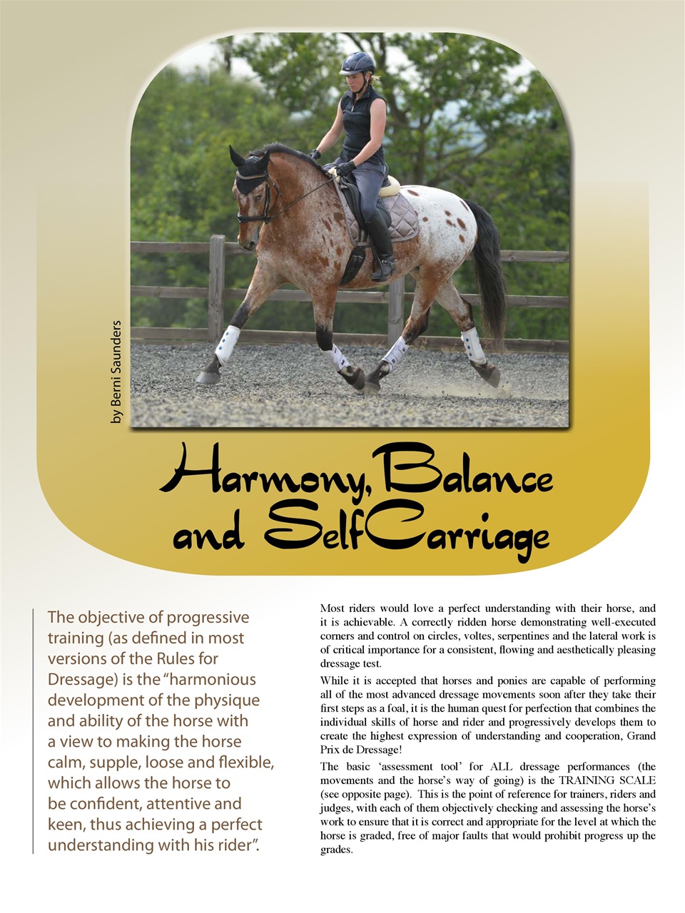 Hoofbeats Magazine - Feb/Mar 2020 Back Issue