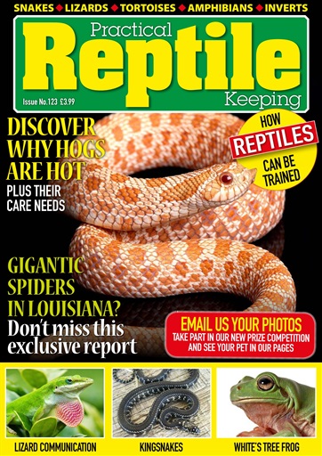 Practical Reptile Keeping Magazine - Issue 123 Back Issue