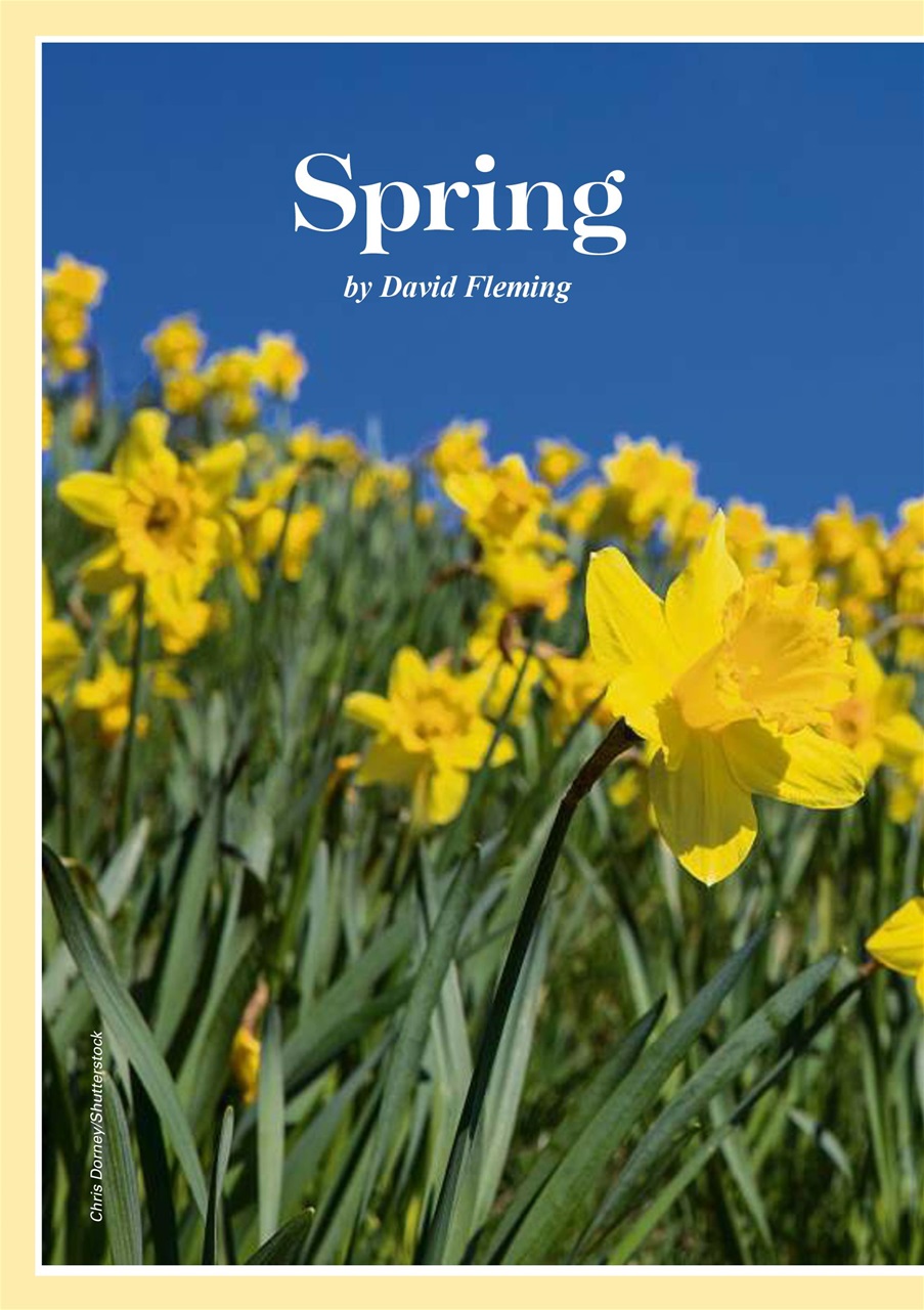 Evergreen Magazine - Spring 2020 Back Issue