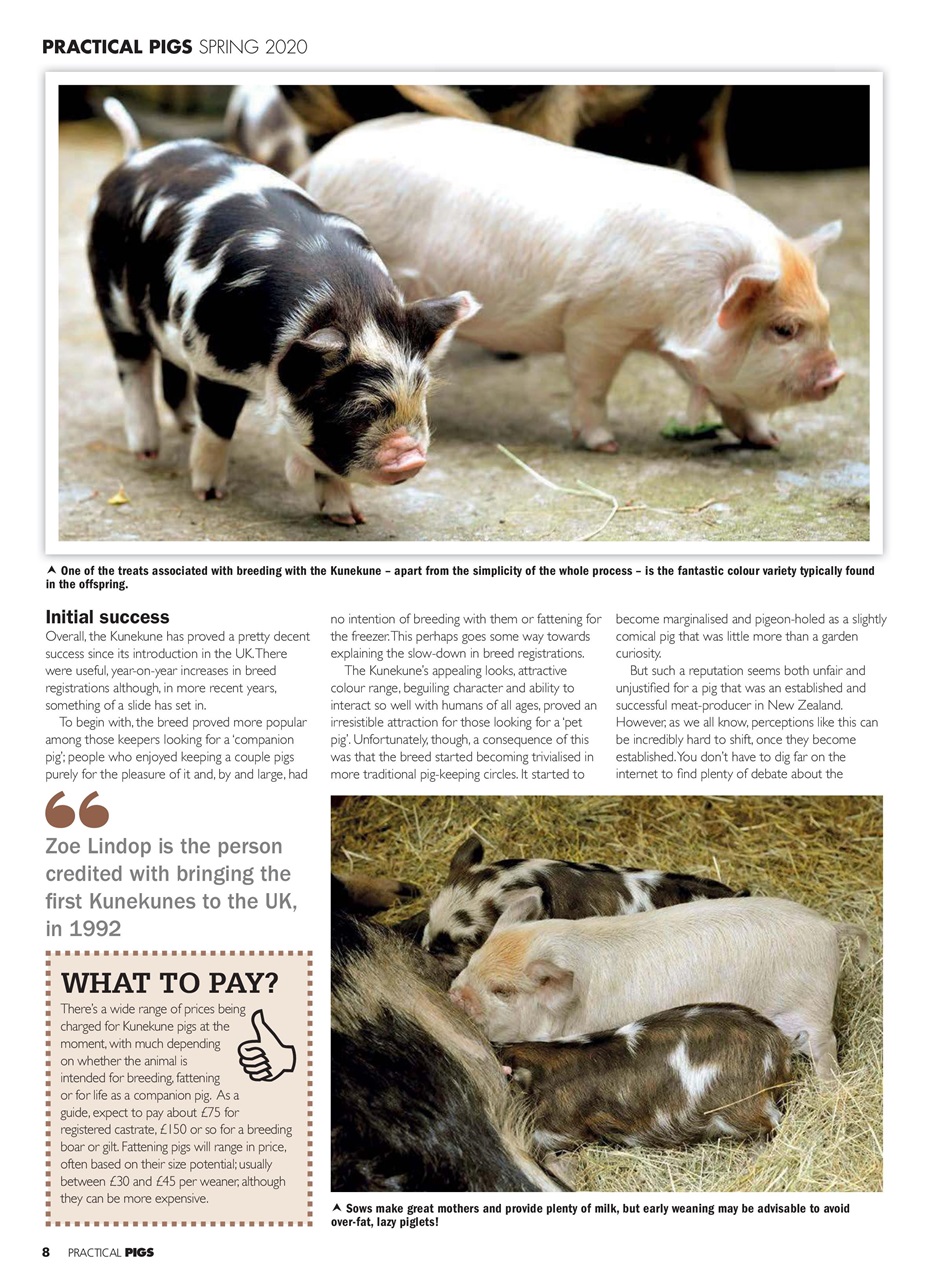 Practical Pigs Magazine - Spring 2020 Back Issue