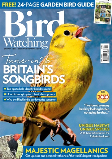 Bird Watching Magazine - Apr 20 Back Issue