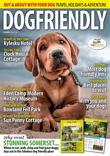 Dog Friendly Magazine - Mar-Apr 2020 Back Issue