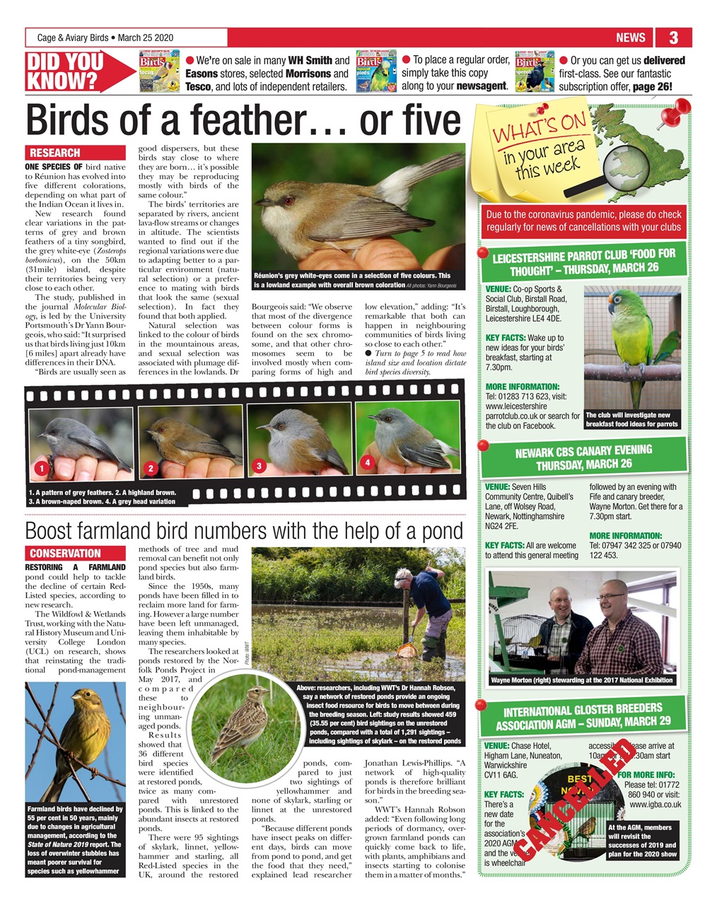 Cage & Aviary Birds Magazine - 25/03/2020 Back Issue