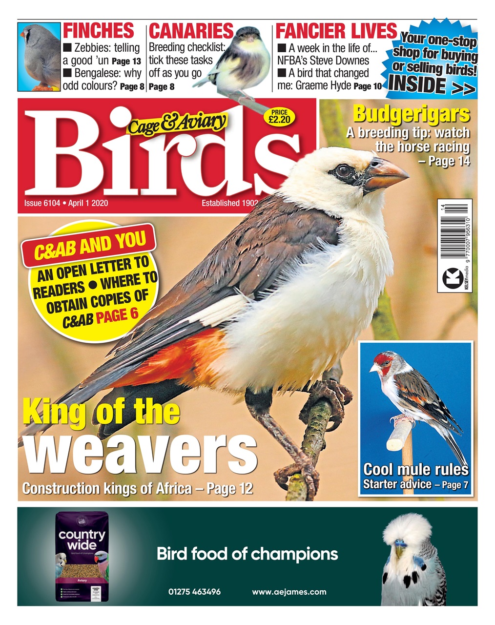 Cage & Aviary Birds Magazine - 01/04/2020 Back Issue