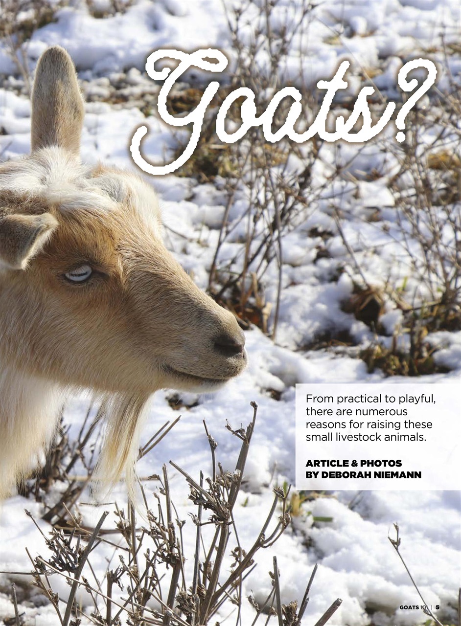 Hobby Farms Magazine - Goat-101 Subscriptions | Pocketmags